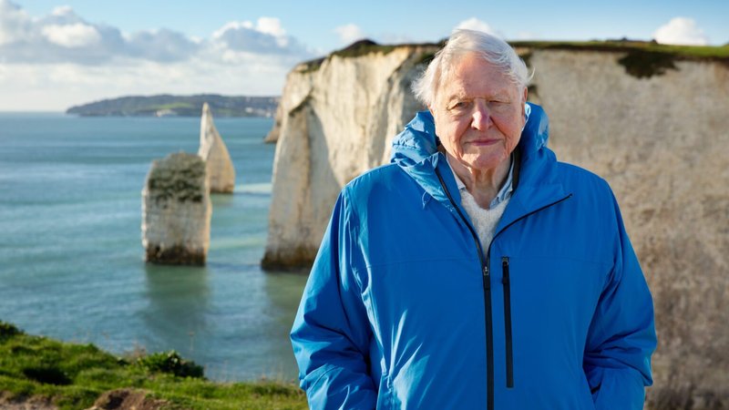 Ocean with David Attenborough | Age Rating and Content Warning | Classification Office
