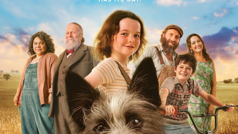 Runt | Age Rating and Content Warning | Classification Office